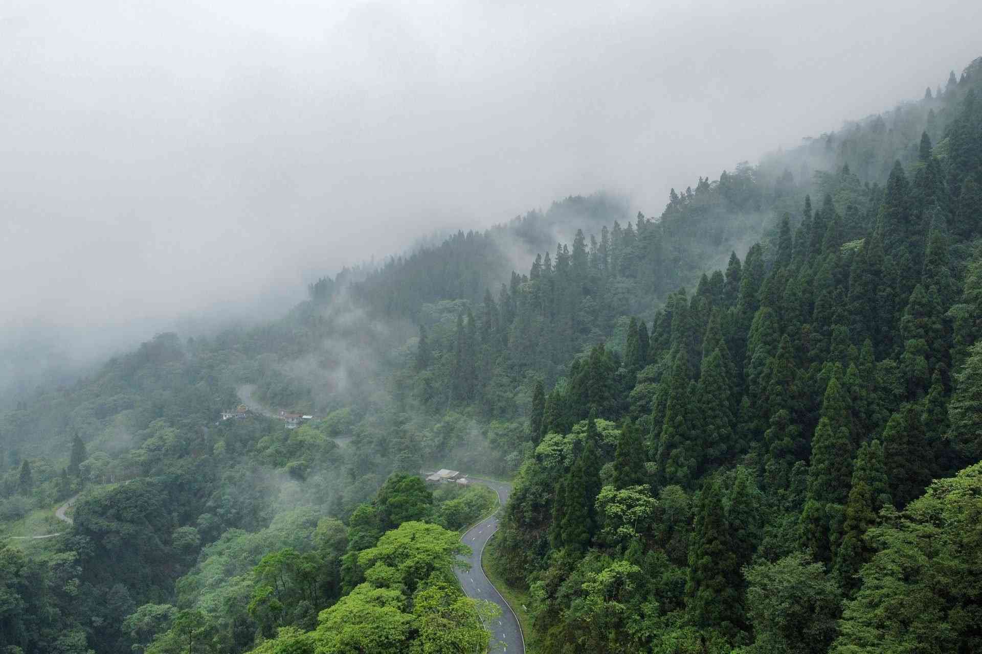 Book Your Luxurious Stay from StayVista