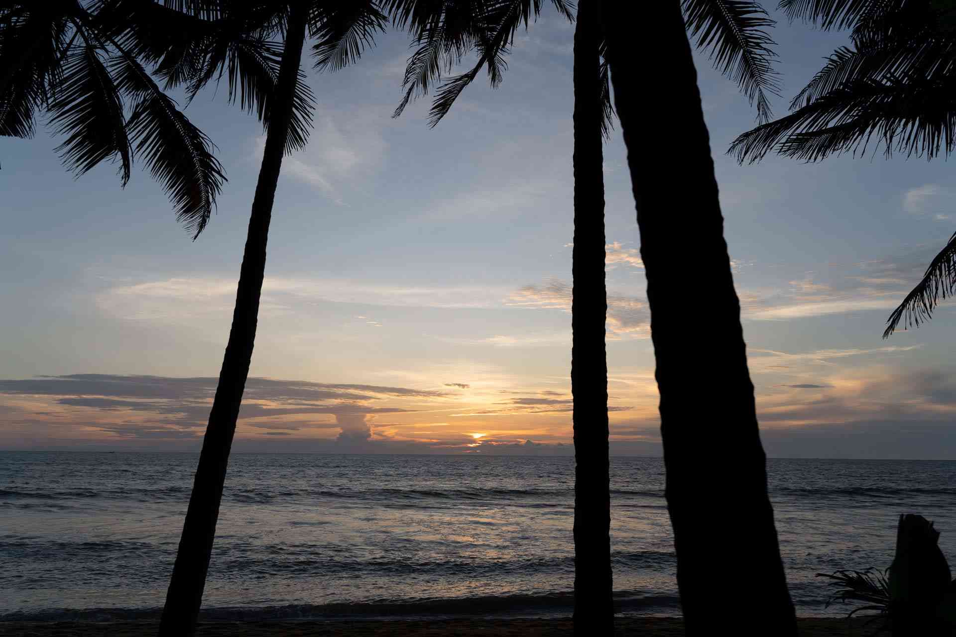 Book Your Luxurious Stay @ Villa Marina - By the Sea In Kasaragod ...