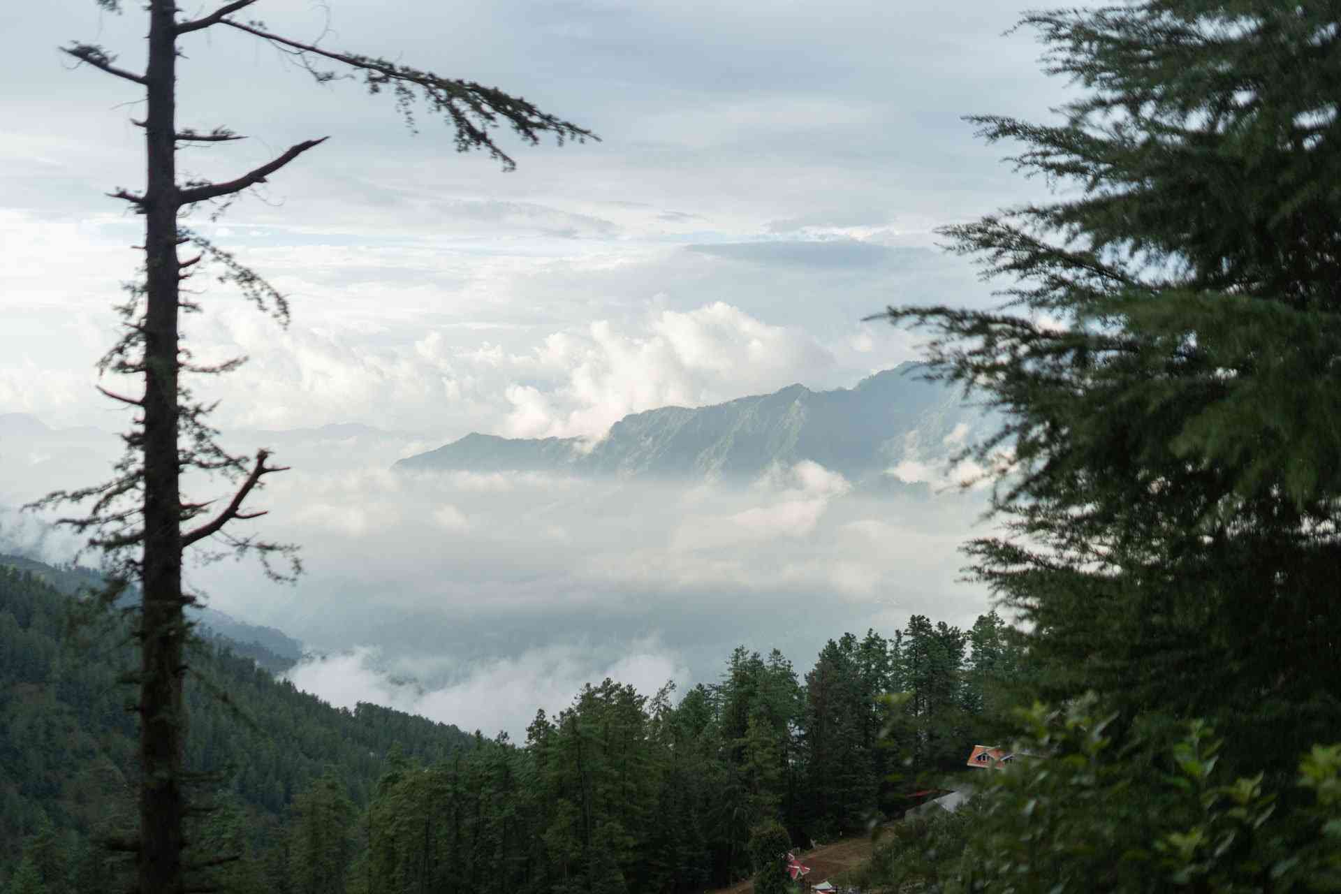 Book Your Luxurious Stay @ Wood House Retreat In Shimla, Himachal ...
