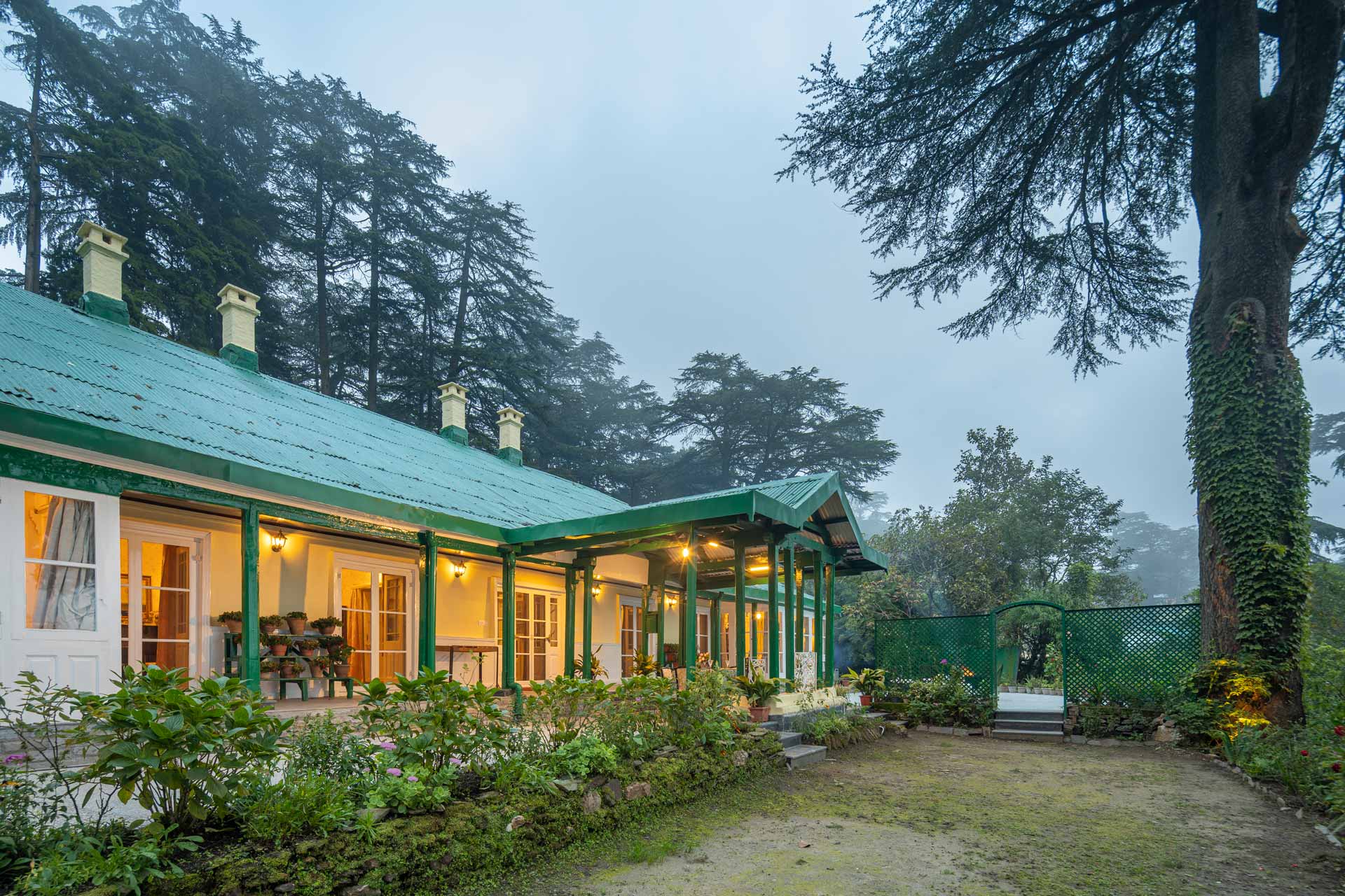 Book Your Luxurious Stay @ Vintage @ Rose Cottage In Shimla, Himachal ...